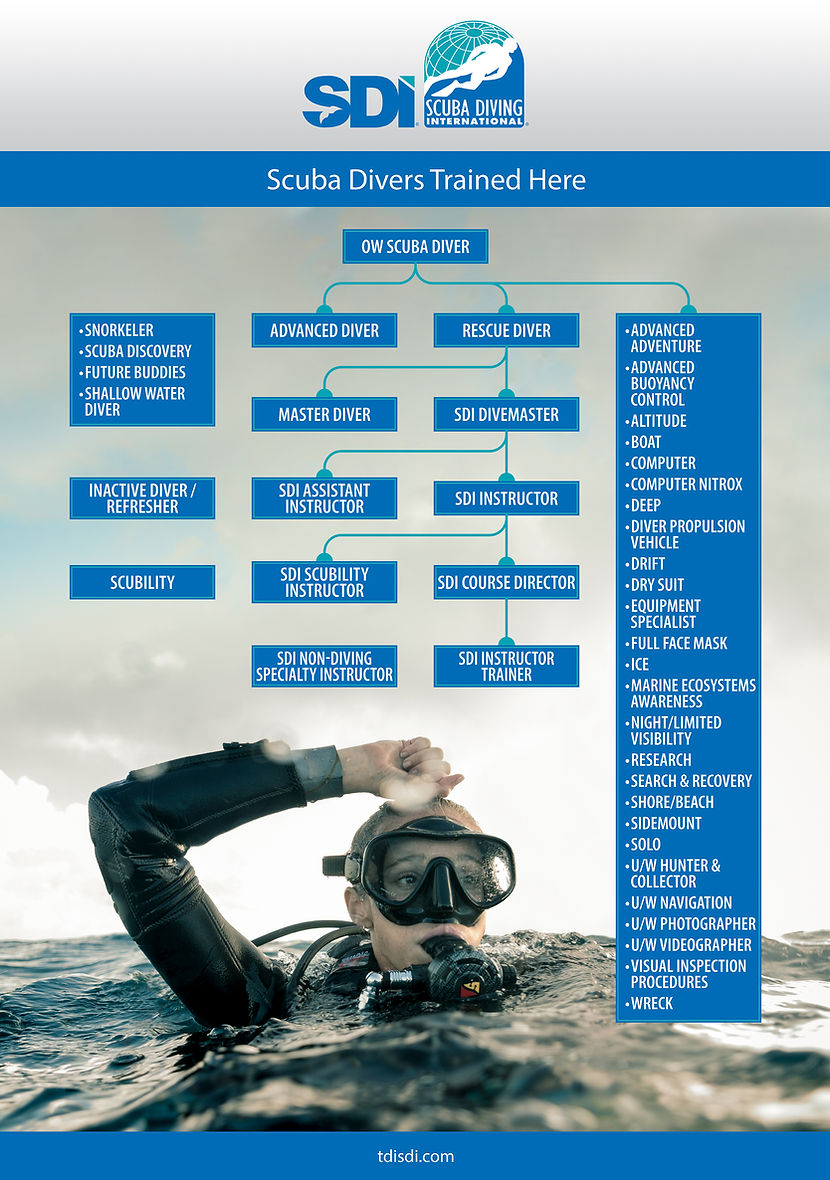 Course Flowcharts | Cardiff Scuba
